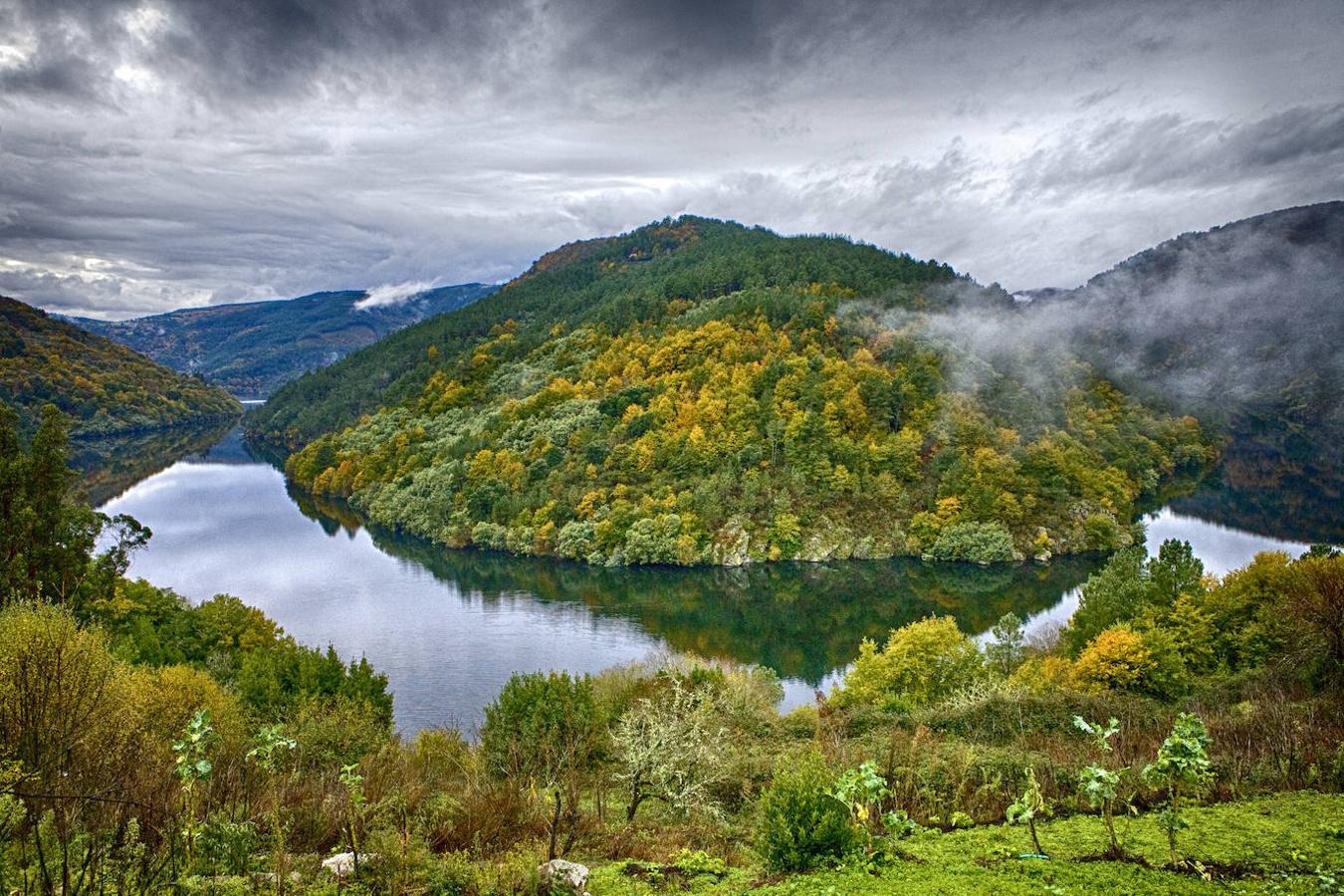 Fotos: 10 bosques maravillosos, ideales para una escapada y que en ...